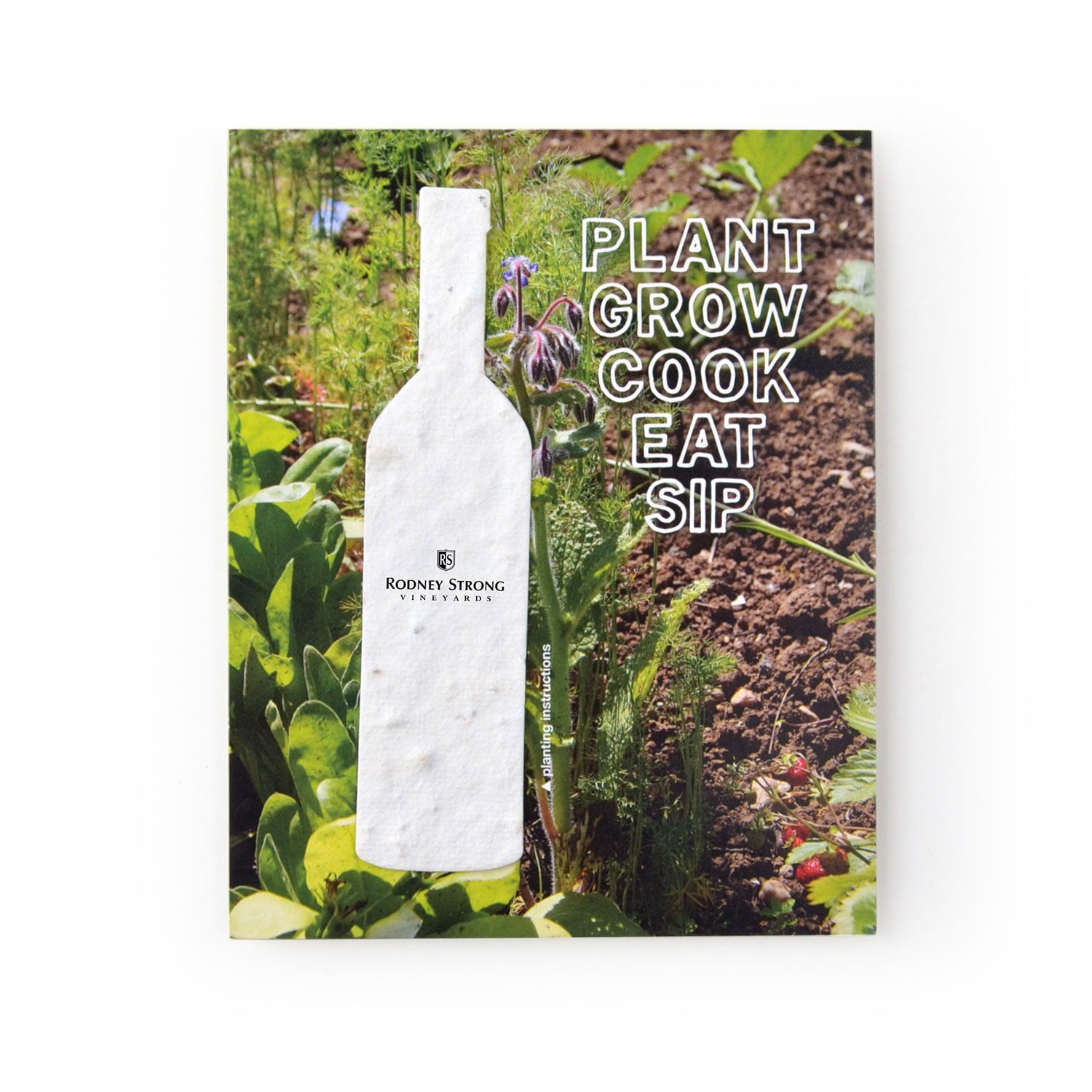 Seed Paper Shape Postcards | Custom Plantable Postcards