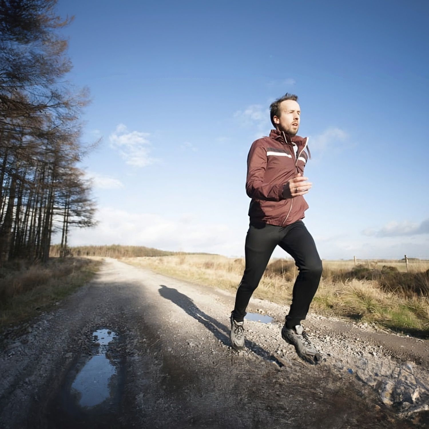 Discover Plogging: The Swedish Craze Sweeping the Globe