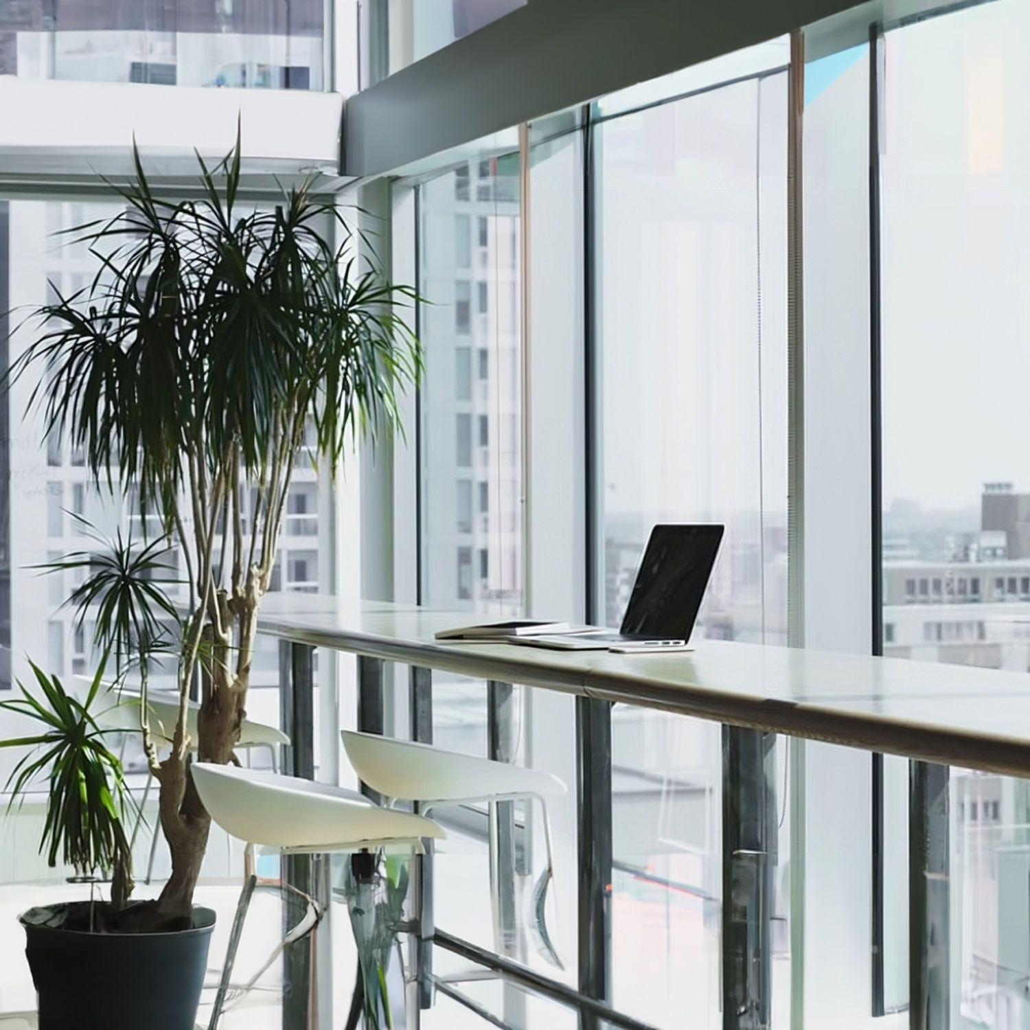 Find Out the Best Office Setup Tips for Every Business