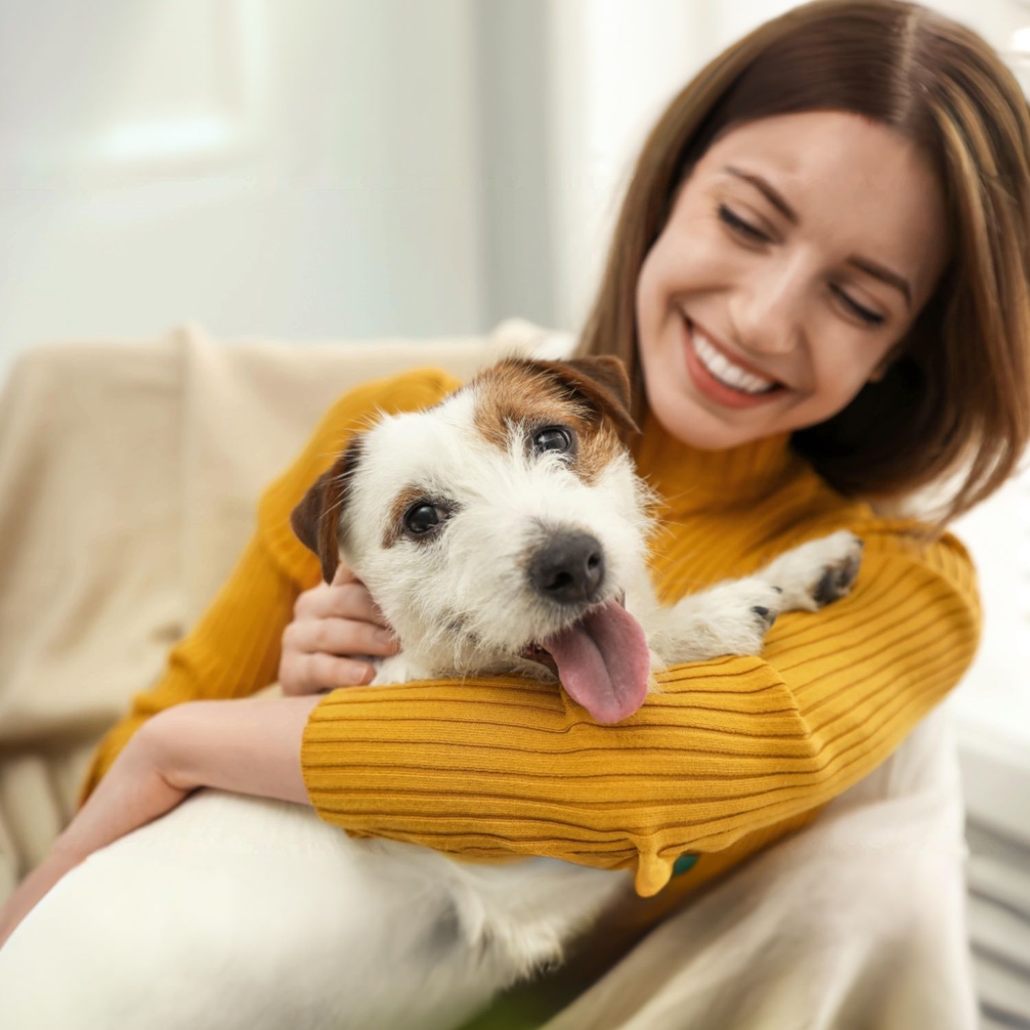 Become an Elite Eco-Friendly Pet Owner With 8 Simple Tips